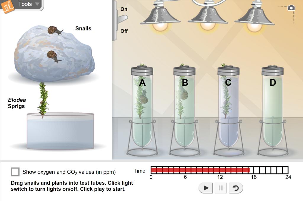 Plant Growth Virtual Lab ExploreLearning Gizmos Plant Growth Virtual Lab ExploreLearning Gizmos